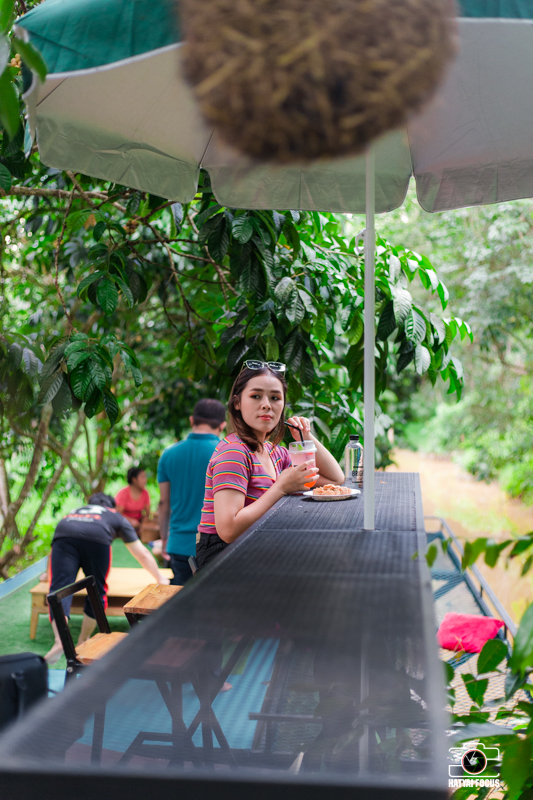 สะเดา | "IDOL FARM" คาเฟ่เปิดใหม่ จิบกาแฟในสวนผลไม้ || Hatyaifocus.com