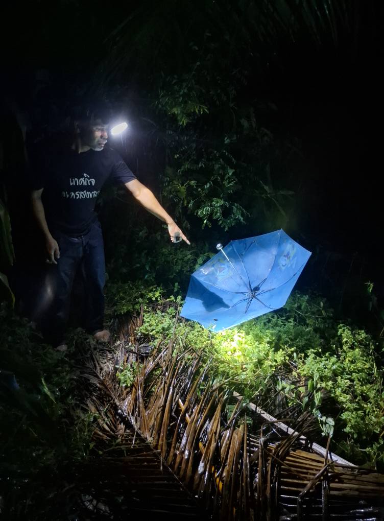 ระโนด | ฝนตกก็ไม่หวั่น! โจรลักข้าวโพดหลายครั้ง ก่อนไหวตัวทันวิ่งทิ้งรถและรองเท้า || Hatyaifocus.com