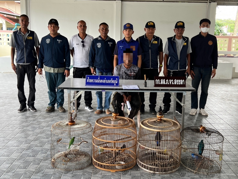 รัตภูมิ | รวบหนุ่มเสพยา เลี้ยงนกป่าสงวนหลากชนิด 4 ตัว || Hatyaifocus.com