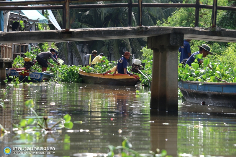 สงขลา | จิตอาสาทำความดีวันพ่อแห่งชาติ กำจัดผักตบชวาสวนเฉลิมพระเกียรติ 72 คลองสำโรง ...