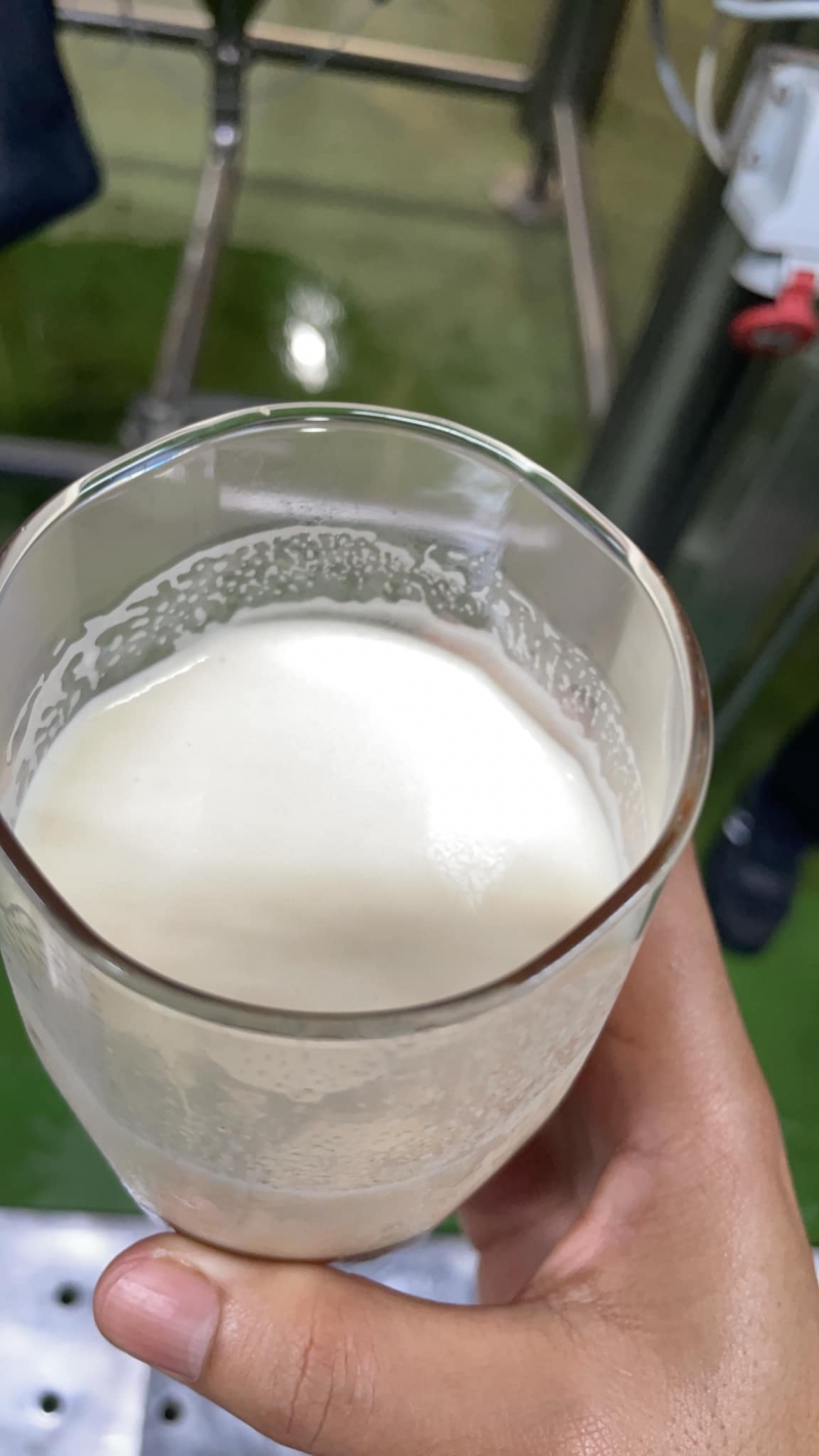 สงขลา | เปิดตัว "Samila Thai Craft Beer" จากวัตถุดิบของเกษตรกรพื้นบ้าน ...