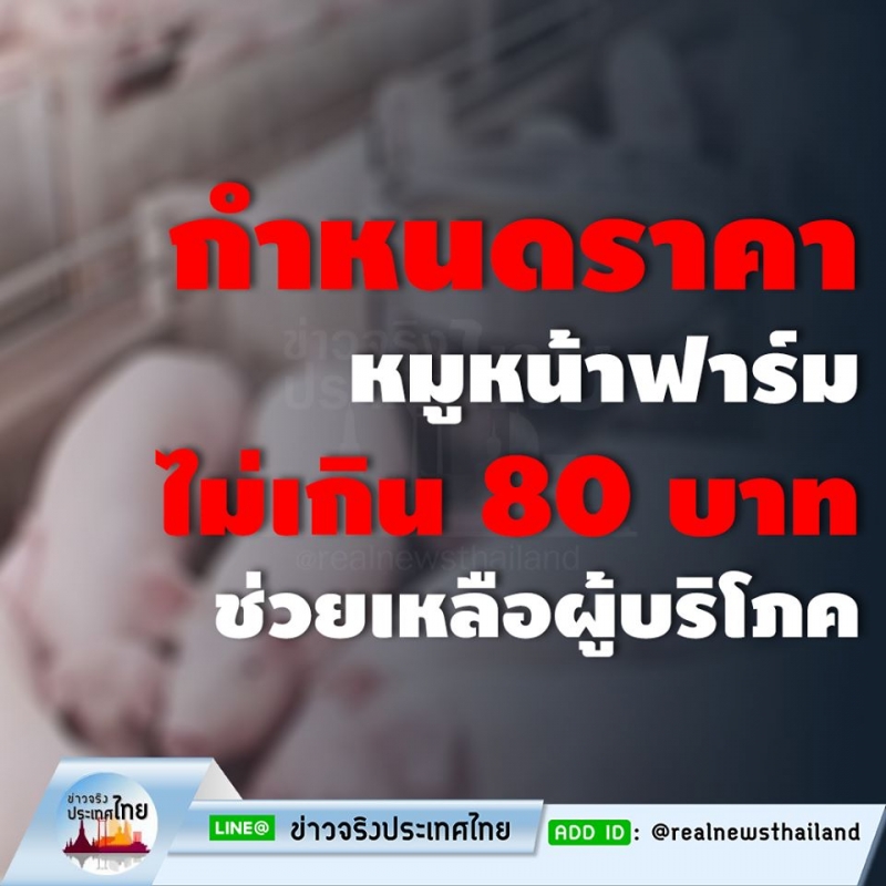 ช่วยเหลือผู้บริโภค กำหนดราคาหมูหน้าฟาร์ม "ไม่เกิน 80 บาท" || Hatyaifocus.com