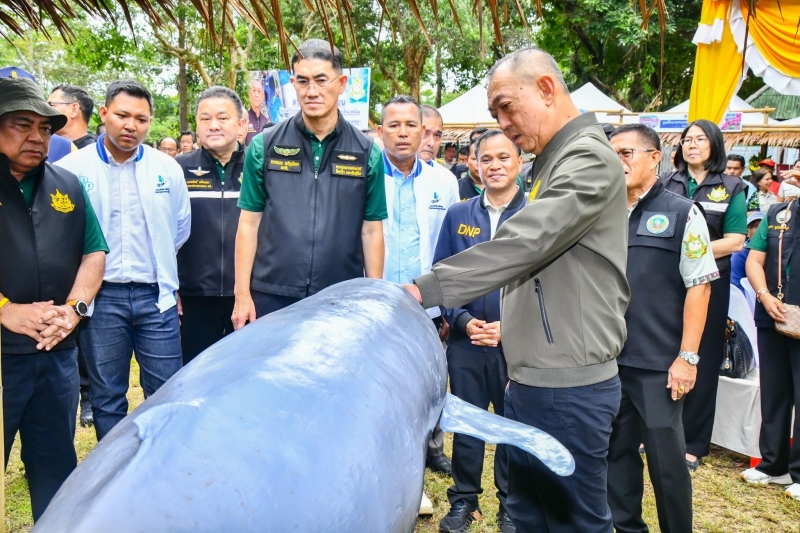 สงขลา | ติดตามการพัฒนาทะเลสาบสงขลาคู่การอนุรักษ์โลมาอิรวดี ปัจจุบันเหลือเพียง 17 ตัว ...